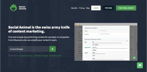 50 best content curation tools - ShareThis